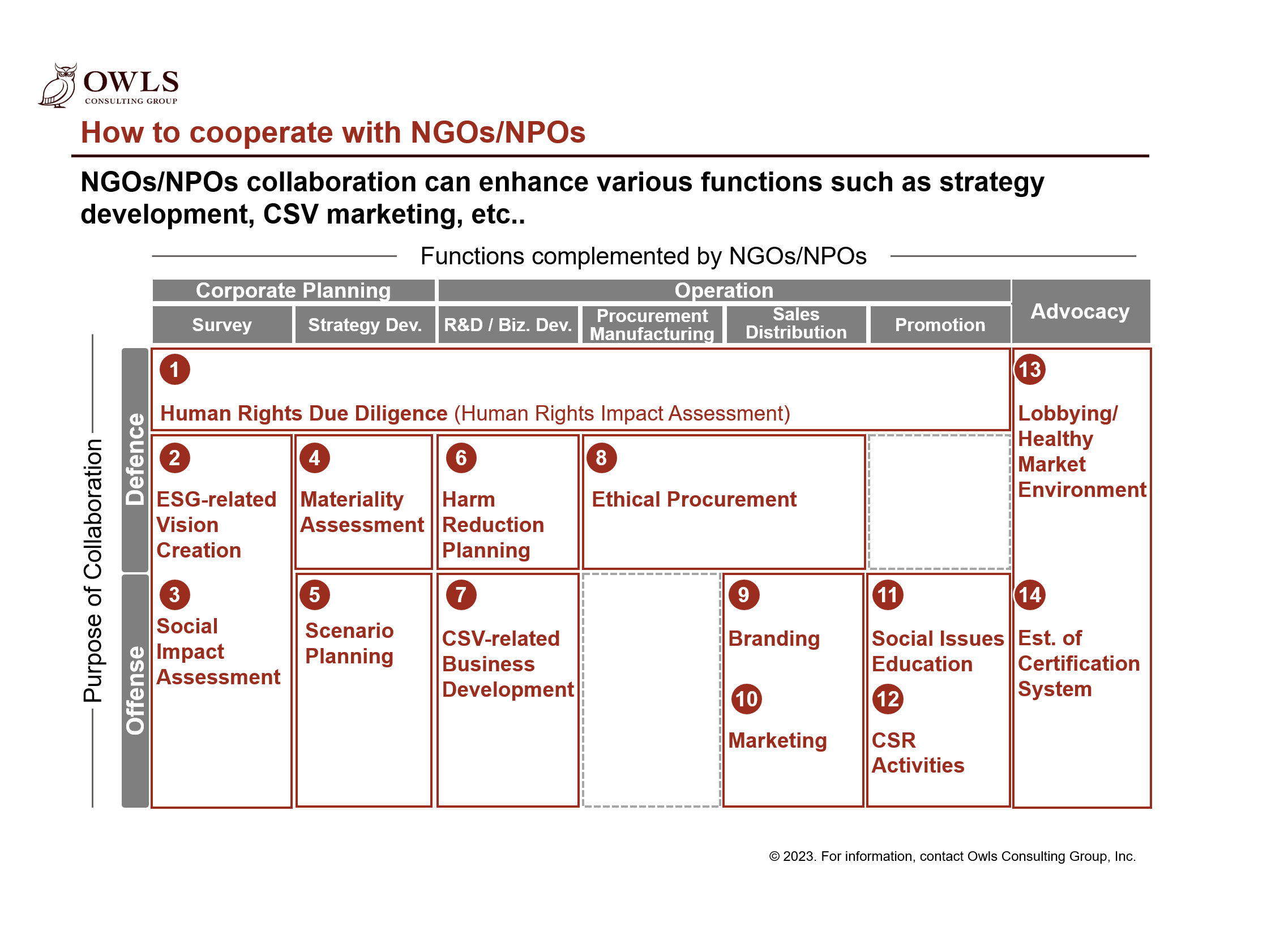 NGO/NPO Partnership | Owls Consulting Group
